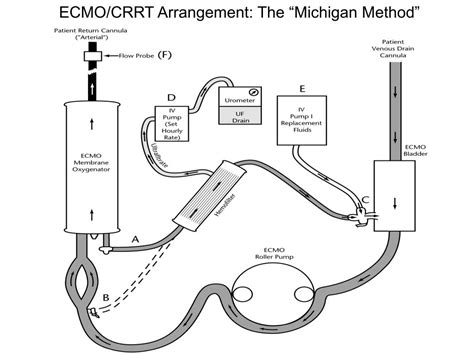 Ppt Use Of Crrt In Ecmo Is It Valuable Powerpoint Presentation Free Download Id 320470