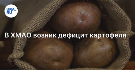 В ХМАО возник дефицит картофеля летом 2024