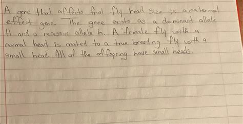 Solved A Gene That Offects Fruit Fly Head Size Is A Maternal