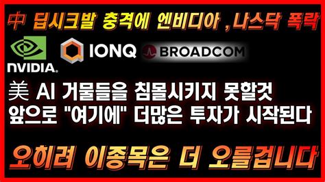 미국주식 中 딥시크발 충격에 엔비디아브로드컴 나스닥 폭락 팩트는근데 오히려 이종목은 이거때문에 더 오를겁니다 아이온큐
