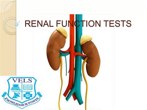 Renal Function Tests PPTX