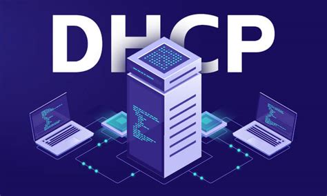 Qué es DHCP proceso de interacción y estructura de paquetes VSOL ES