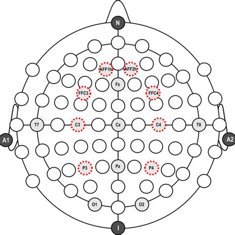 Histograms A And EEG Inter Brain Functional Connectivity Patterns B Download Scientific