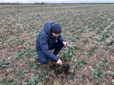 Frații Dînga Reveniți Din Străinătate Au Investit în Agricultură Mizând Pe No Till E