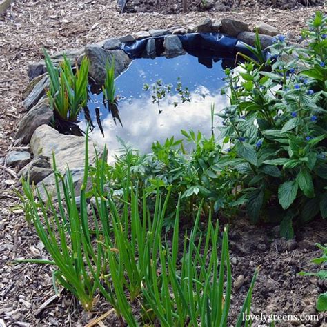 How To Build A Small Pond For The Garden Lovely Greens