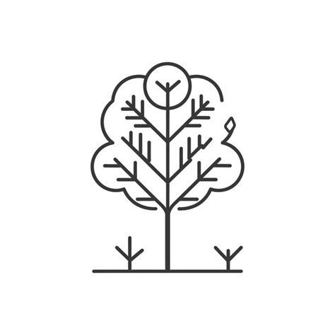 Outline Illustration Of A Stylized Tree With Branches And Leaves Premium AI Generated Vector