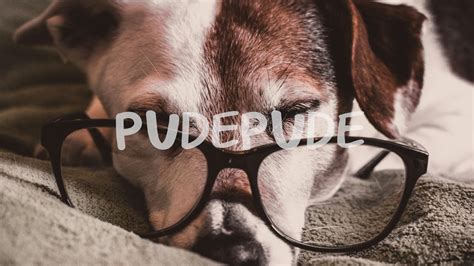 Playlist 휴식이 필요할때 듣는 힐링음악 조용한음악 명상음악 피아노곡 편안한음악 Youtube