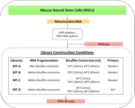 A Systematic Evaluation Of Parameters In Rna Bisulfite Sequencing Data