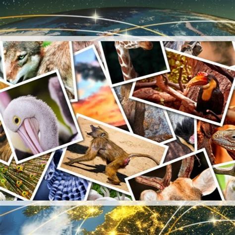 Stream Байгаль хүүхэд Монгол орны хамгийн үзэсгэлэнт нуурууд By Mongolian National Radio