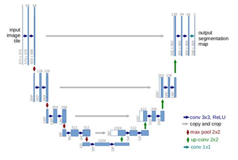 How To Write A Figure Legend Published Examples