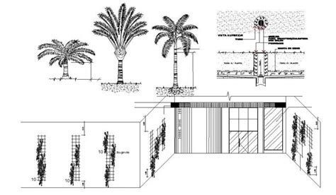 Compound Wall Section And Constructive Structure Details With Tree