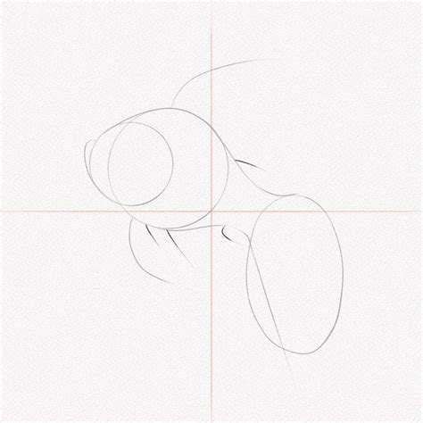 How To Draw A Fish A Step By Step Tutorial Artlex How To Draw A Fish A Step By Step Tutorial Artlex