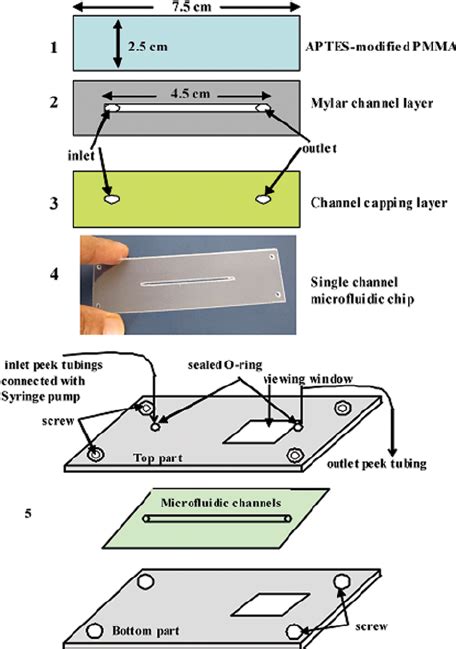 Microfluidic Chip Fabrication And Assembling Not In Scale 1 Download Scientific Diagram