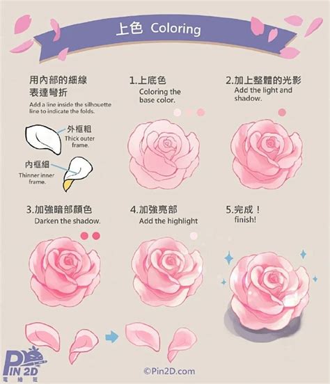 如何画出好看的花瓣？ 花瓣网