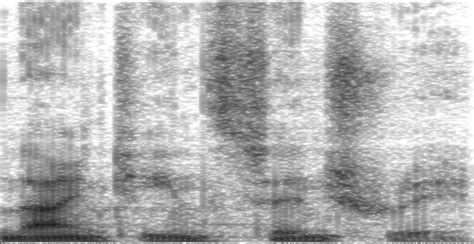 Reconstructing Audio From Its Spectrogram Equivariant