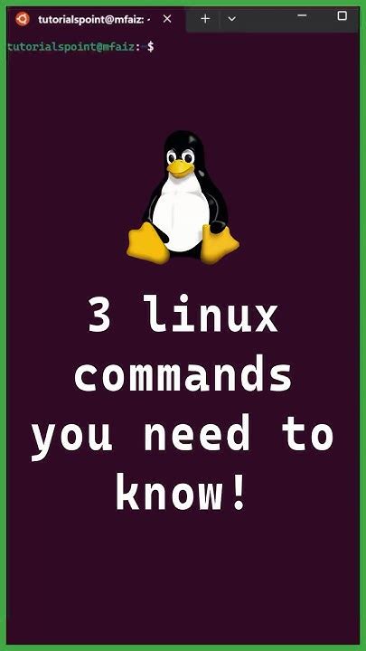 3 Linux Commands Explained In 30 Seconds Shorts Linux Linuxcommands