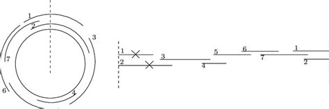 a the initial circular arc graph b unrolling the circular arc