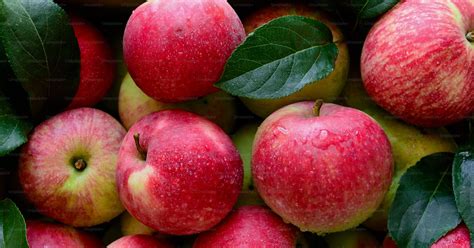 검은 배경에 나무 상자에 신선한 빨간 사과 평면도 사진 Unsplash의 사과 이미지