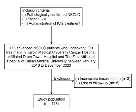 Flow Chart Illustrating Patient Inclusion Nsclc Non Small Cell Lung Download Scientific