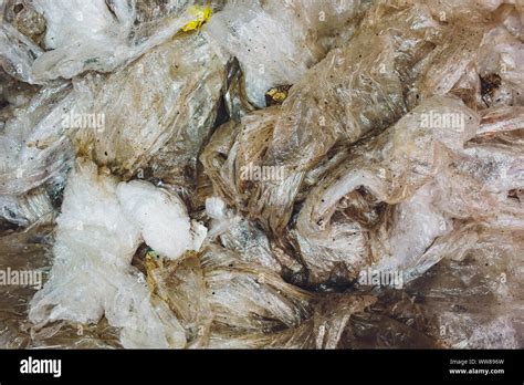 Background Garbage Bag Black Bin Waste Garbage Dump Bintrash