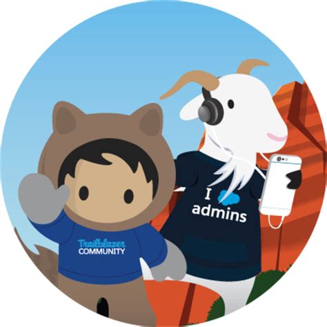 Trailblazer Community Salesforce Admin Group Vaishali India