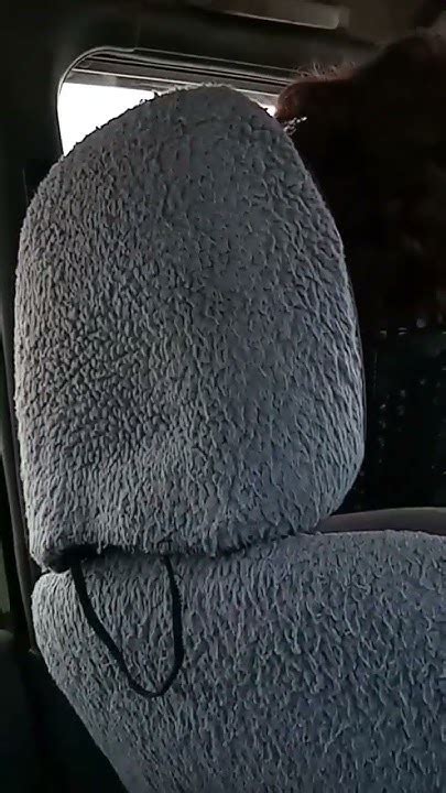 мы едем с бабушкой и папой на дачу Youtube