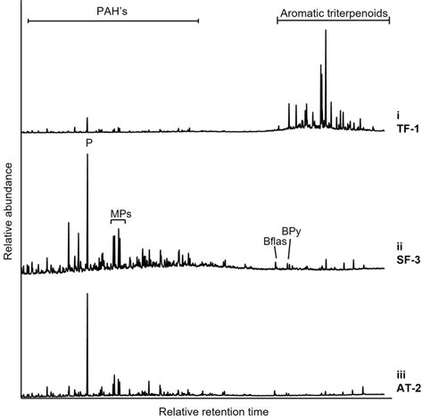 GCMS Total Ion Chromatograms Of Aromatic Fractions Of I Diplazites Download Scientific