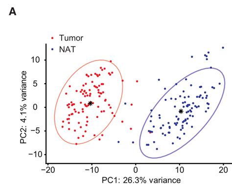 【肿瘤分子分型】cell：中国人群肺腺癌的全景分子图谱与预后标志物 哔哩哔哩