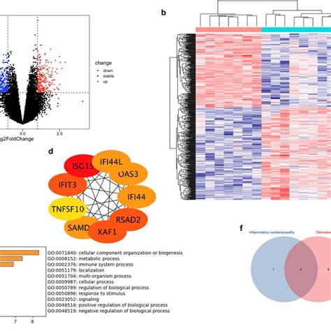Screening Of Hub Genes Related To The Immune System Process In Dm A Download Scientific