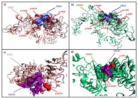 We Have Discovered Multiple Genetic Variations Happening On These Download Scientific Diagram