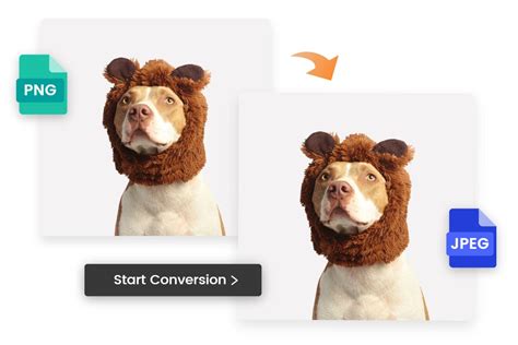 Png To Jpeg Convert Png To Jpeg Online For Free Fotor