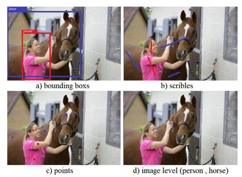 Weakly Supervised Semantic Segmentation