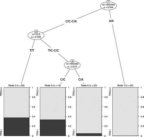 Conditional Inference Classification Tree For Pathological Response