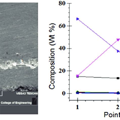 Semeds Point Analysis Wt Across The Cross Section Of The Download Scientific Diagram