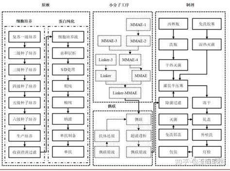 Adc 生产制备流程及关键质量属性概要 知乎