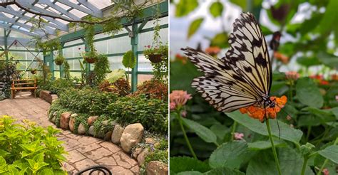 Michigans Tropical Butterfly Garden You Need To Experience In Spring