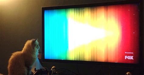 Today We Learn About Spectrum Imgur