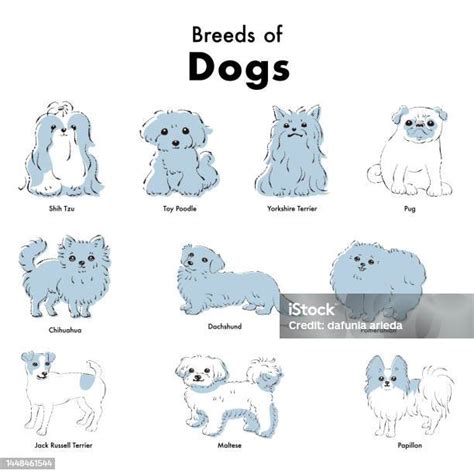 간단하고 귀여운 인기 개 품종 손으로 그린 선 그리기 벡터 일러스트 레이 션 세트 0명에 대한 스톡 벡터 아트 및 기타 이미지 0명 강아지 유치원 강아지 개 Istock
