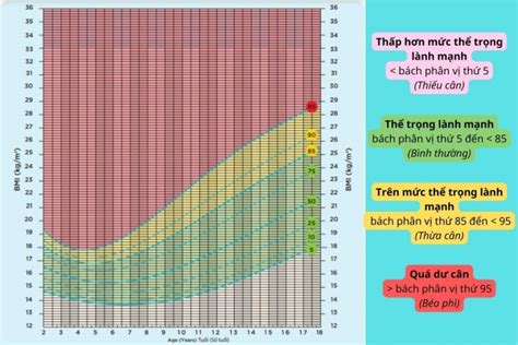 Kiểm Tra Chỉ Số Bmi 3 Công Cụ Tính Bmi Online Chính Xác Nhất