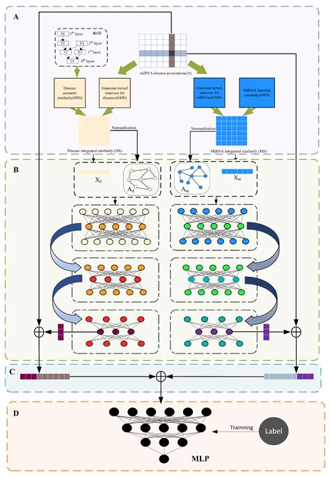 Cells Free Full Text Sgaemda Predicting Mirna Disease Associations Based On Stacked Graph