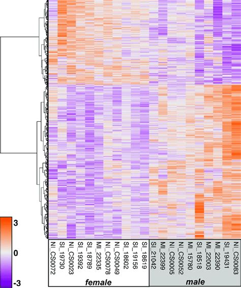 Heatmap Of 1037 Genes Uniquely Differentially Expressed By Sex Genes