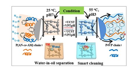 One Step Fabrication Of A Micronanosphere Coordinated Dual Stimulus