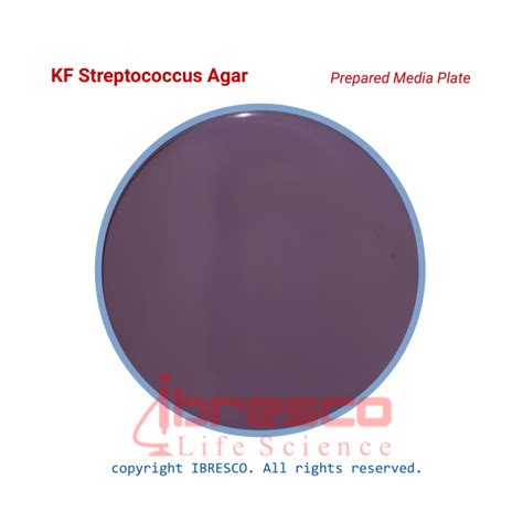 Kf Streptococcus Agar کا اف استرپتوکوکوس آگار Ibresco