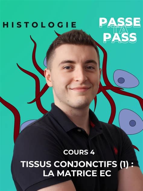 Wooskill Offre Histologie 4 Tissus Conjonctifs Partie 1 La Matrice Extra Cellulaire Les