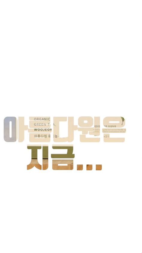 아름다원 유기농차 전통차 말차 녹차 홍차 크리스마스 무드 이 3가지 차로 완성해보세요 크리스마스에는 따뜻한 차 한 잔으로 포근한 행복을 느껴보세요