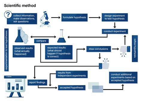 Scientific Method Solved Scientific Method Labelinglabel The Image To