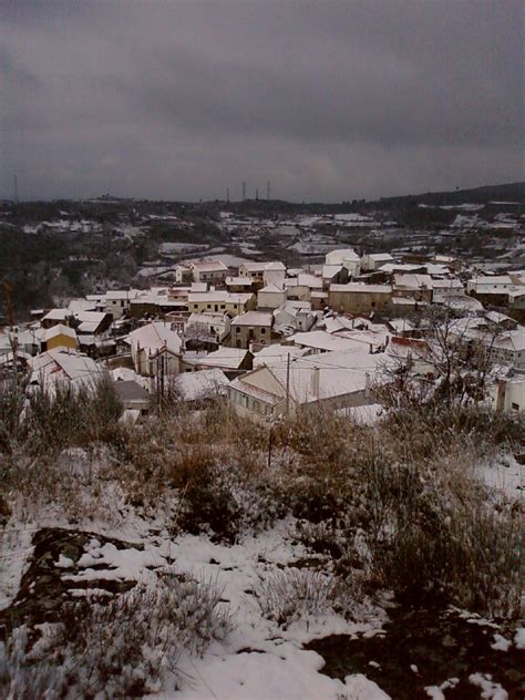 Avelas De Ambom Cfestas