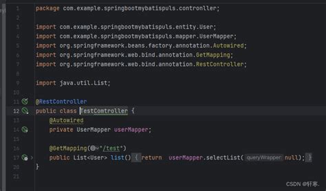 Springboot连接数据库 Csdn博客