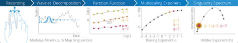 Overview Of The Wavelet Transform Modulus Maximus Analysis Process