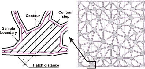 Scanning Strategy Of The One Of The Layers Of Lattice Cp Ti Structure